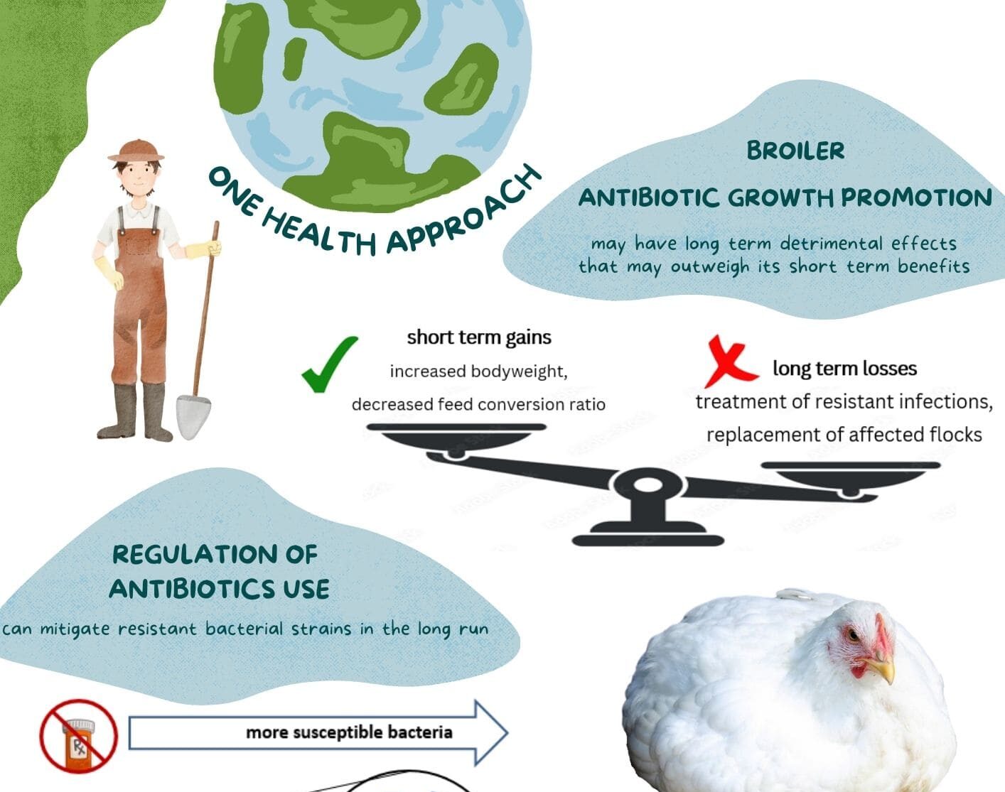 Dr. Ivan Imperial's Impacts of antibiotic growth promoters in poultry ...